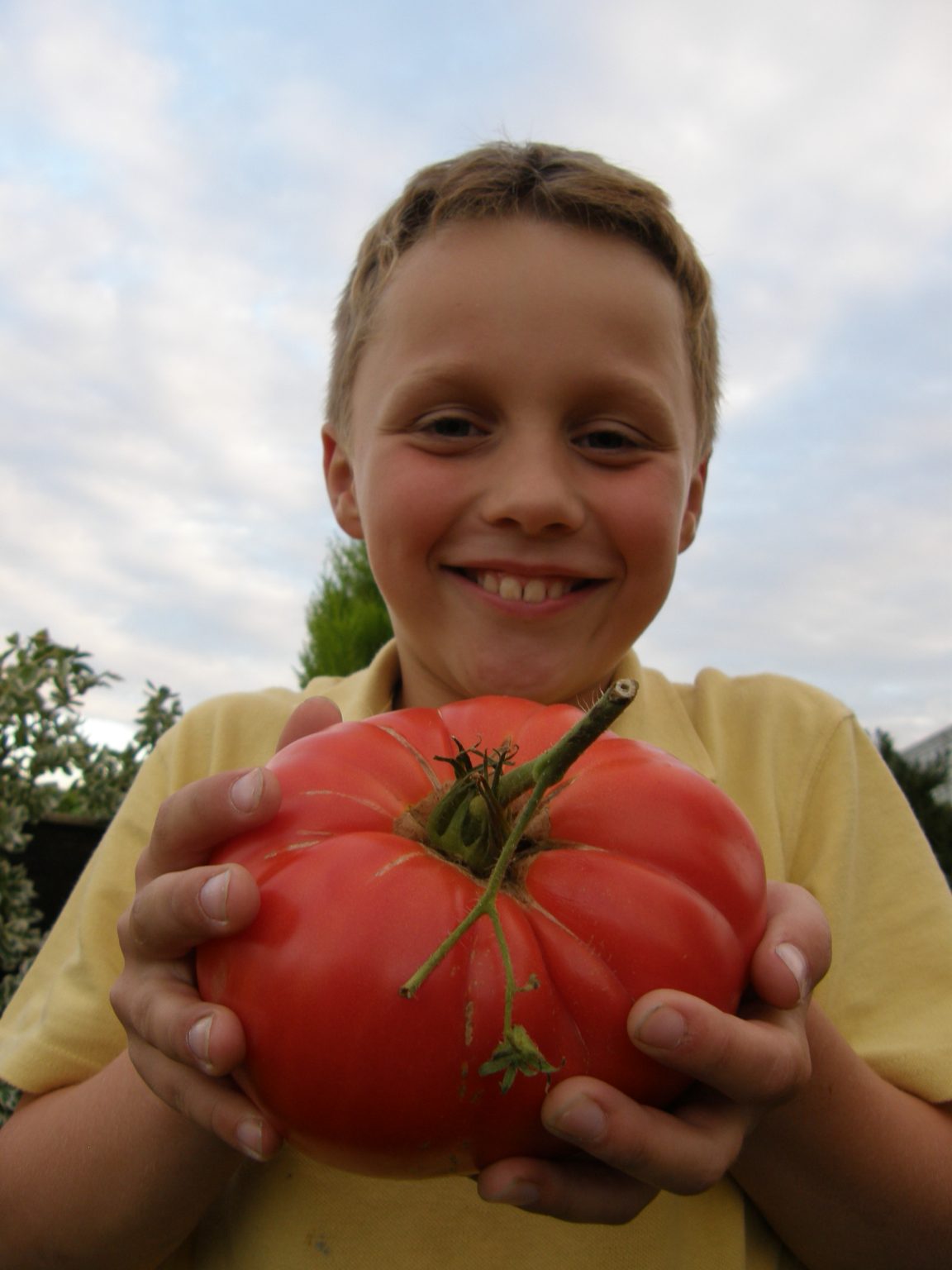 About Us - Giant Vegetable Seed