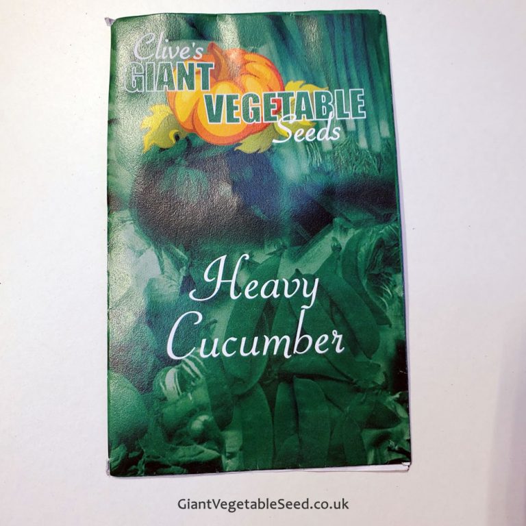 Giant Marrow Seeds - Giant Vegetable Seed